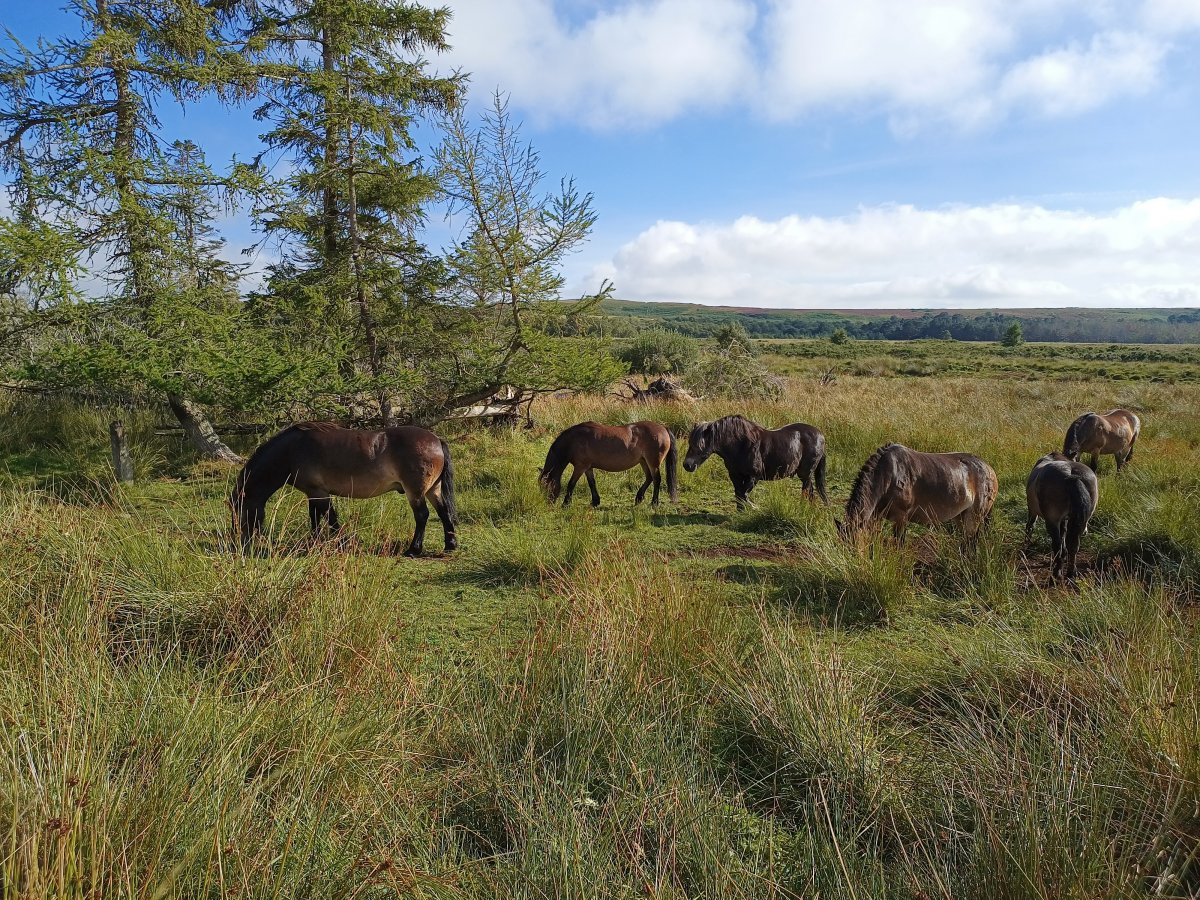 Fenham Farm | Family holiday house, Northumberland