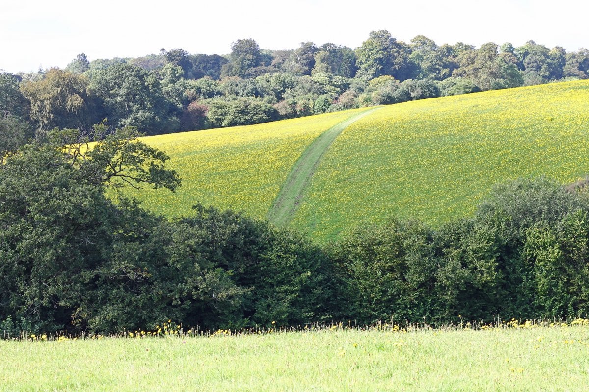 Lydeard Farm Bush Camp | Residential activity centre, Somerset