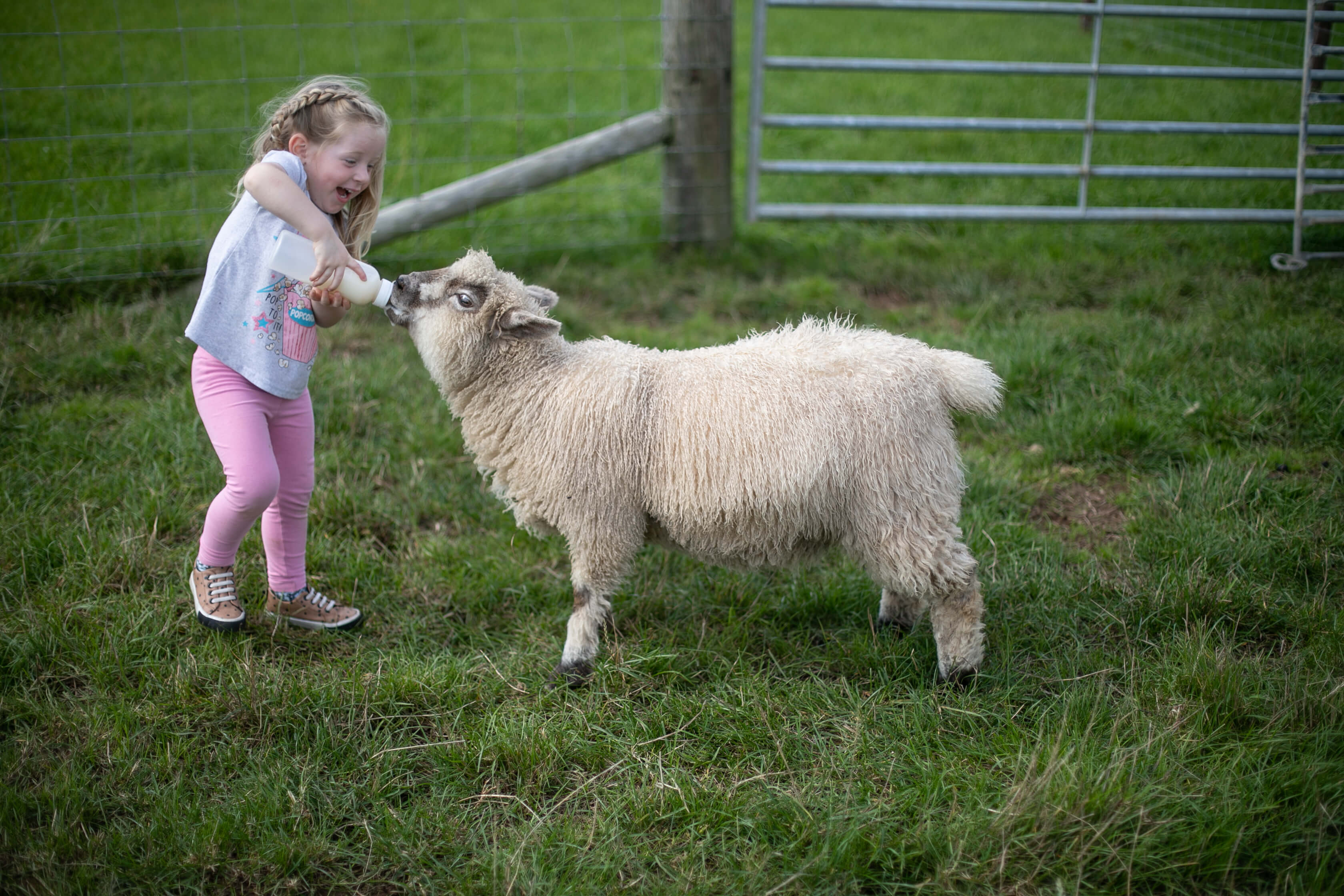 Gwel Teg Farm | Farm glamping site, Cornwall