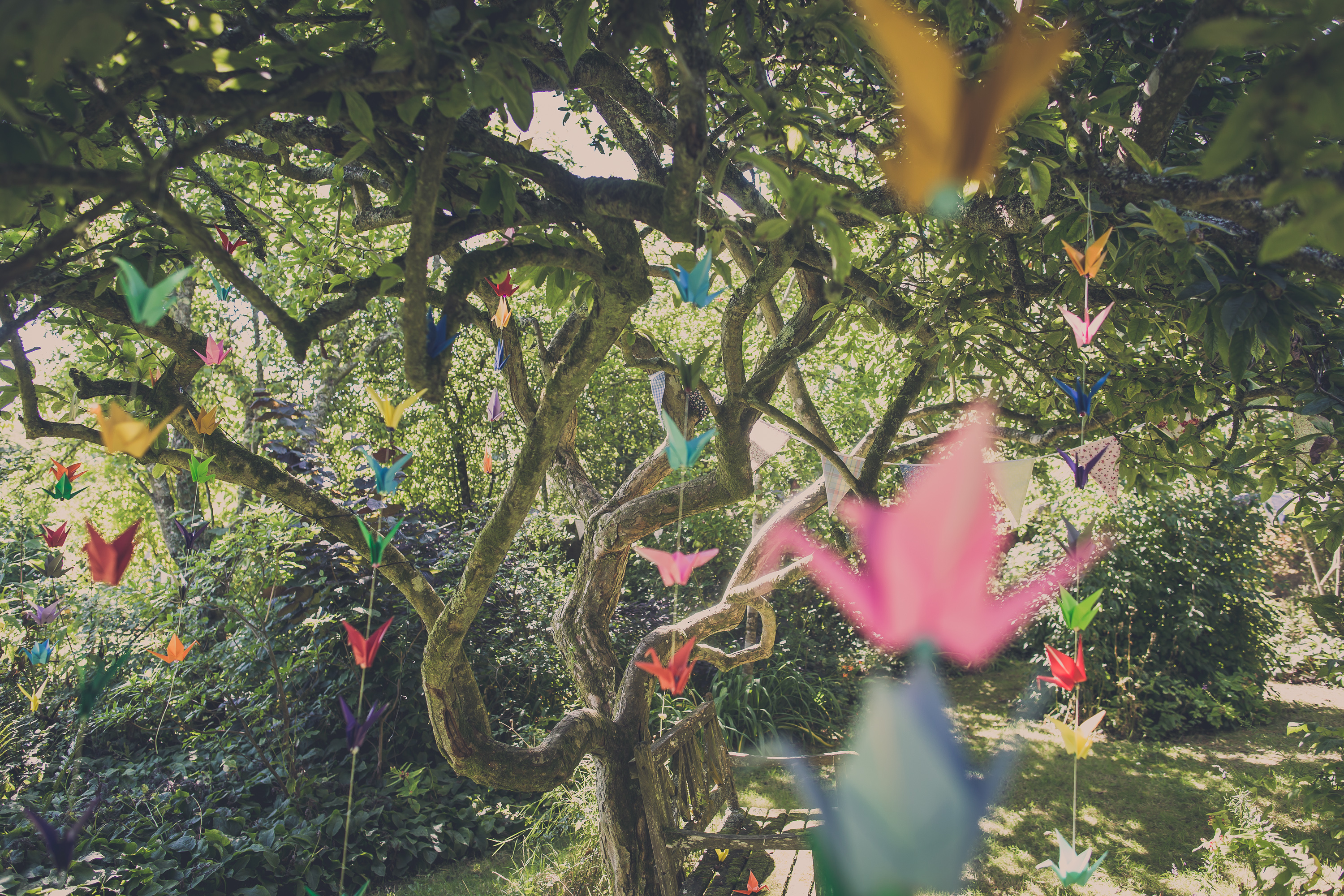 Hayne Devon | Celebration house and glamping, Devon