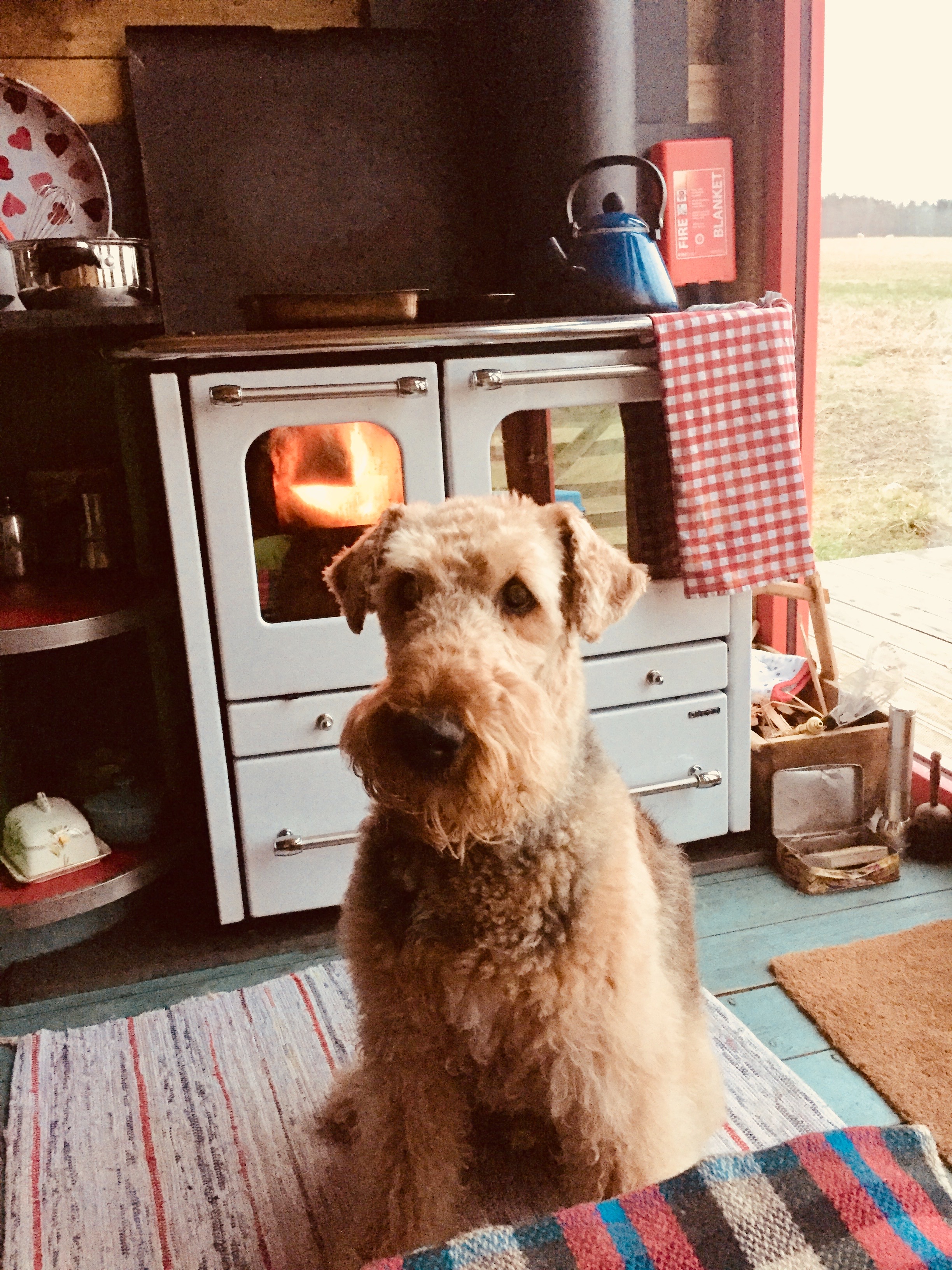 Boutique Farm Bothies | Quirky holiday houses, Aberdeenshire