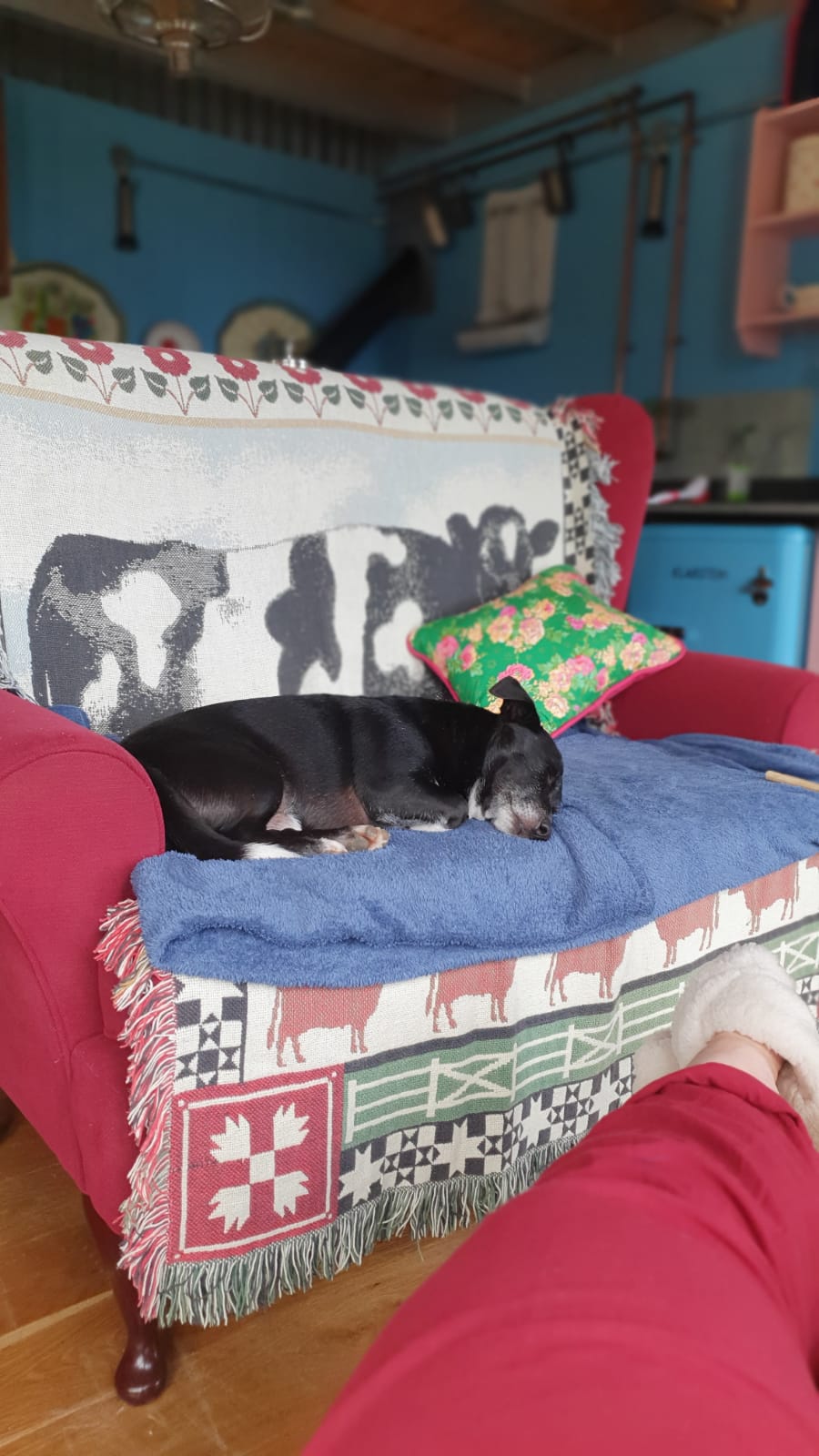 Boutique Farm Bothies | Quirky holiday houses, Aberdeenshire