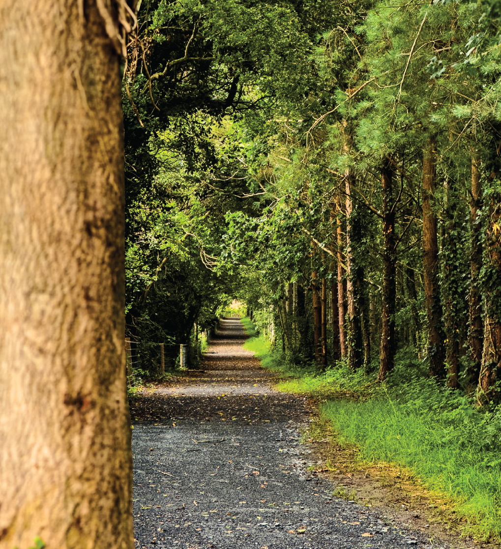 Parsonstown Estate | Family holiday house, County Meath