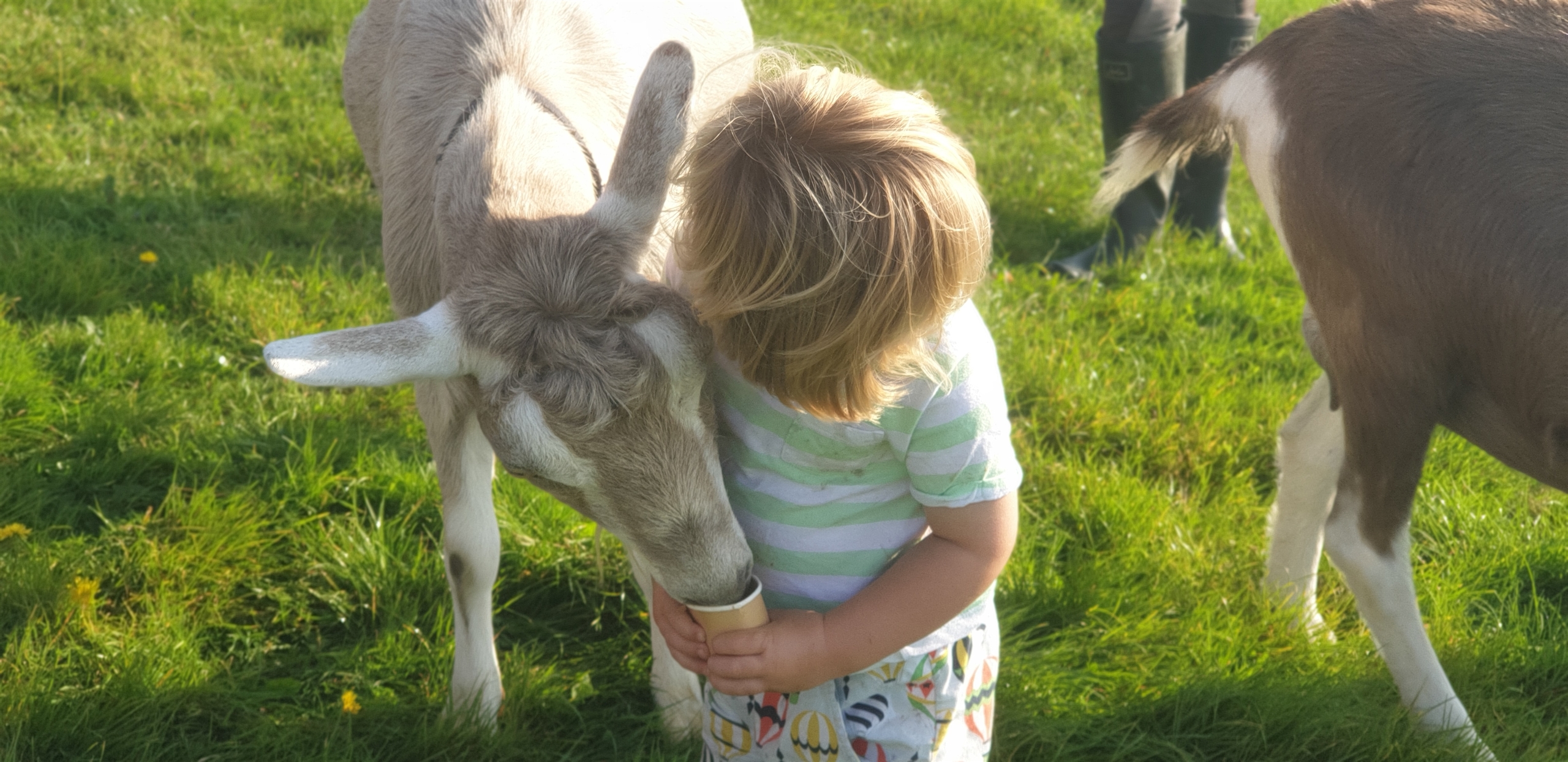 Farmhouse at Treworgey | Family holiday house, Cornwall