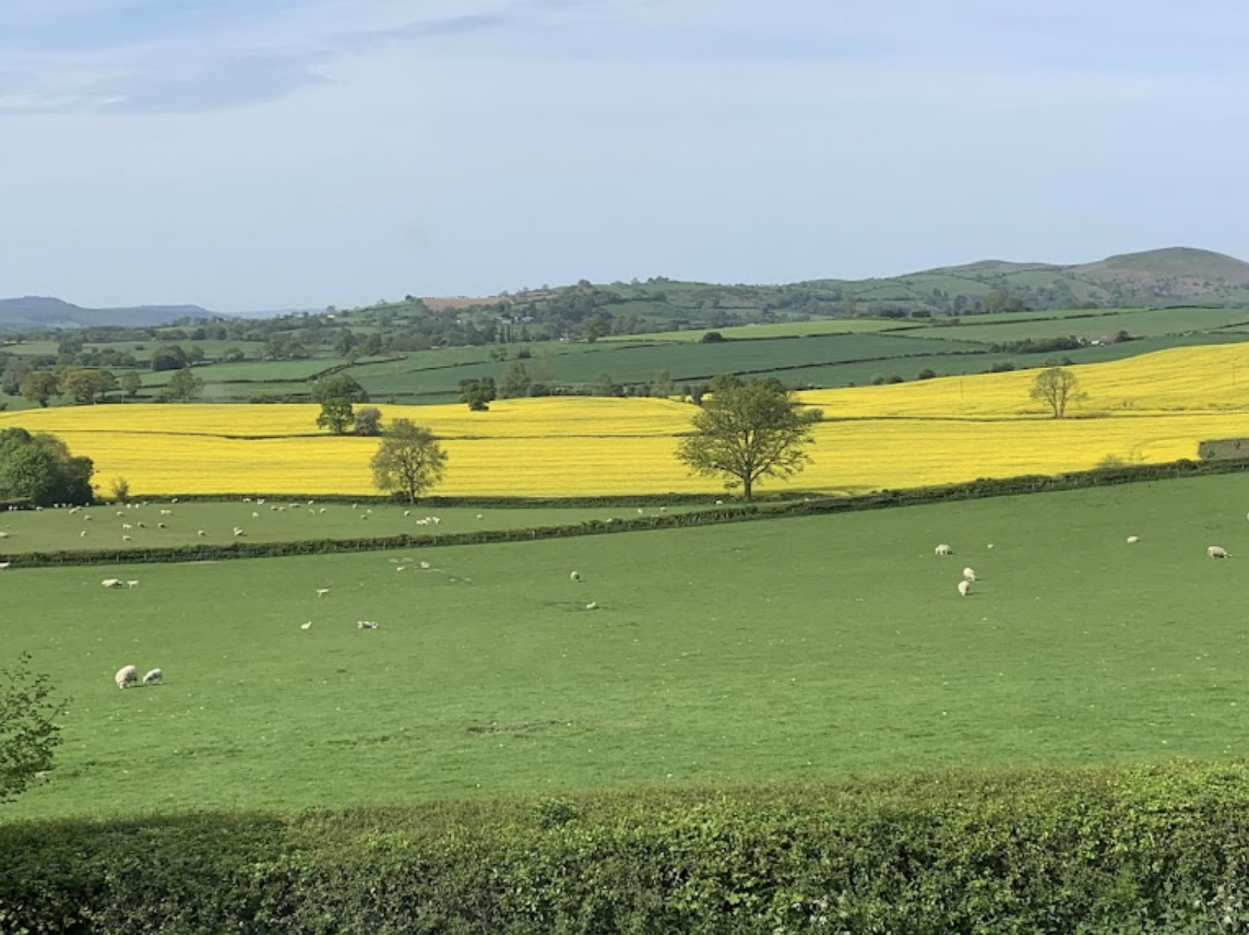 Large holiday cottages near Much Wenlock | Shropshire