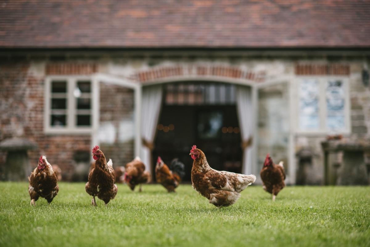 Holiday farmhouse near Blandford Forum | Dorset