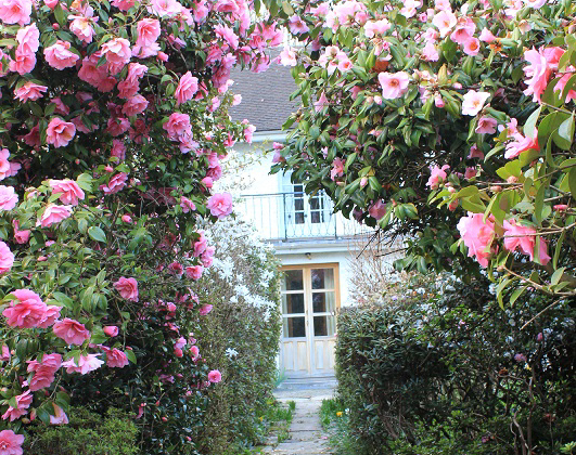 Abernant House | Luxury Holiday House in Brecon Beacons
