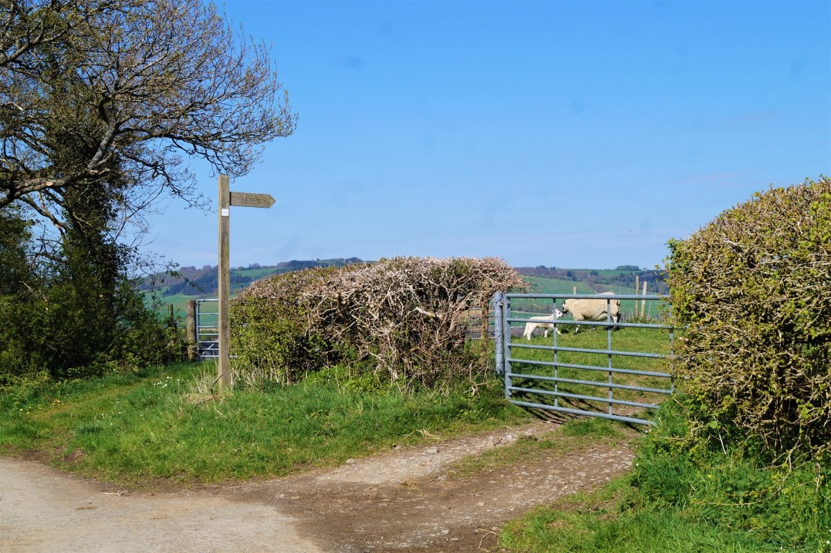 The Stables at Dunfield House | Big Holiday House in Kington