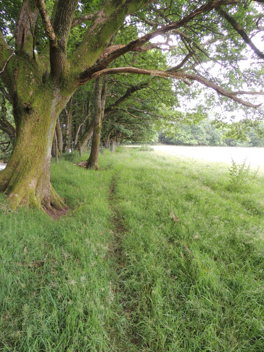 Hinning House | Dog friendly holiday house, Cumbria