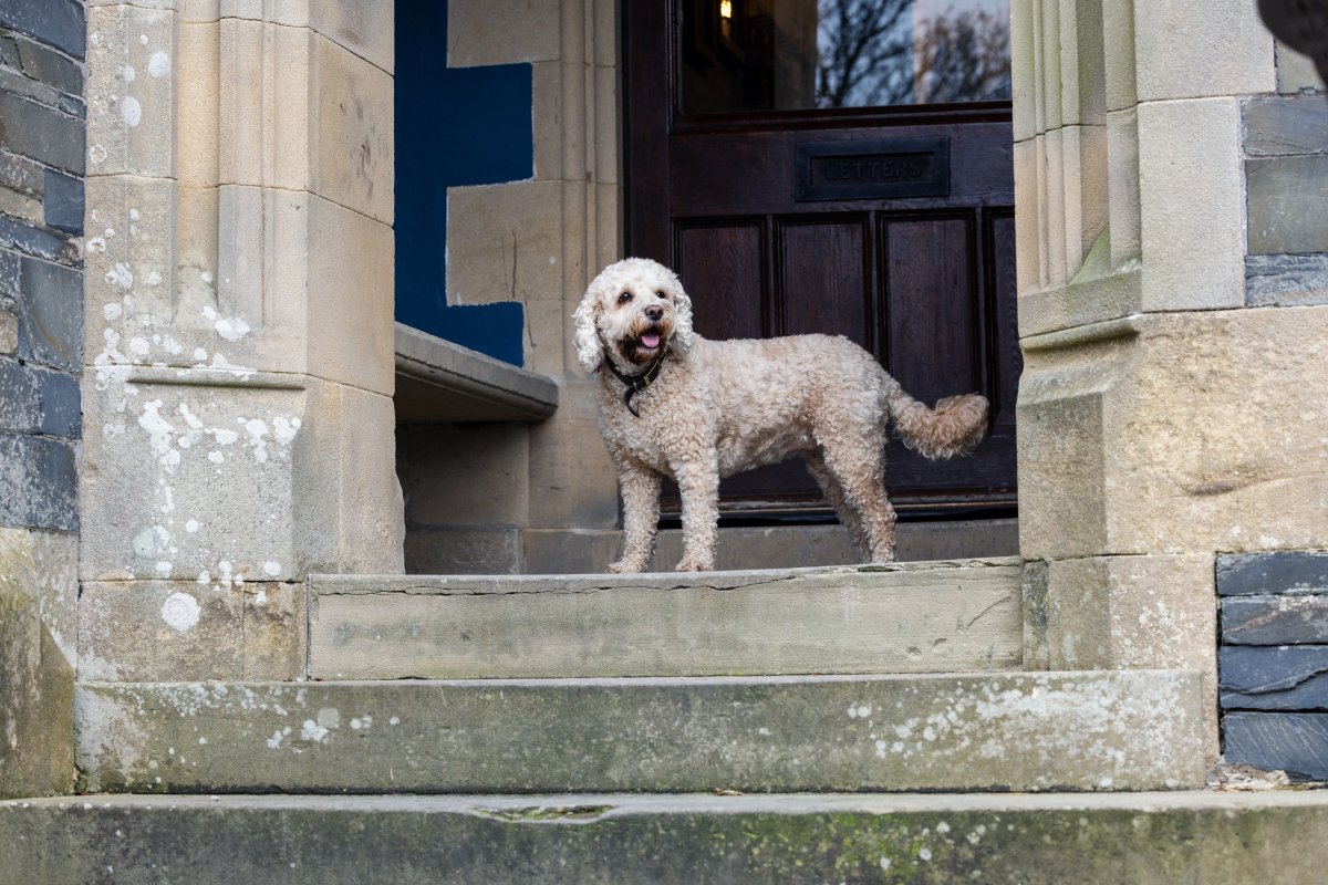 Fallbarrow Hall | Huge holiday house, Lake District
