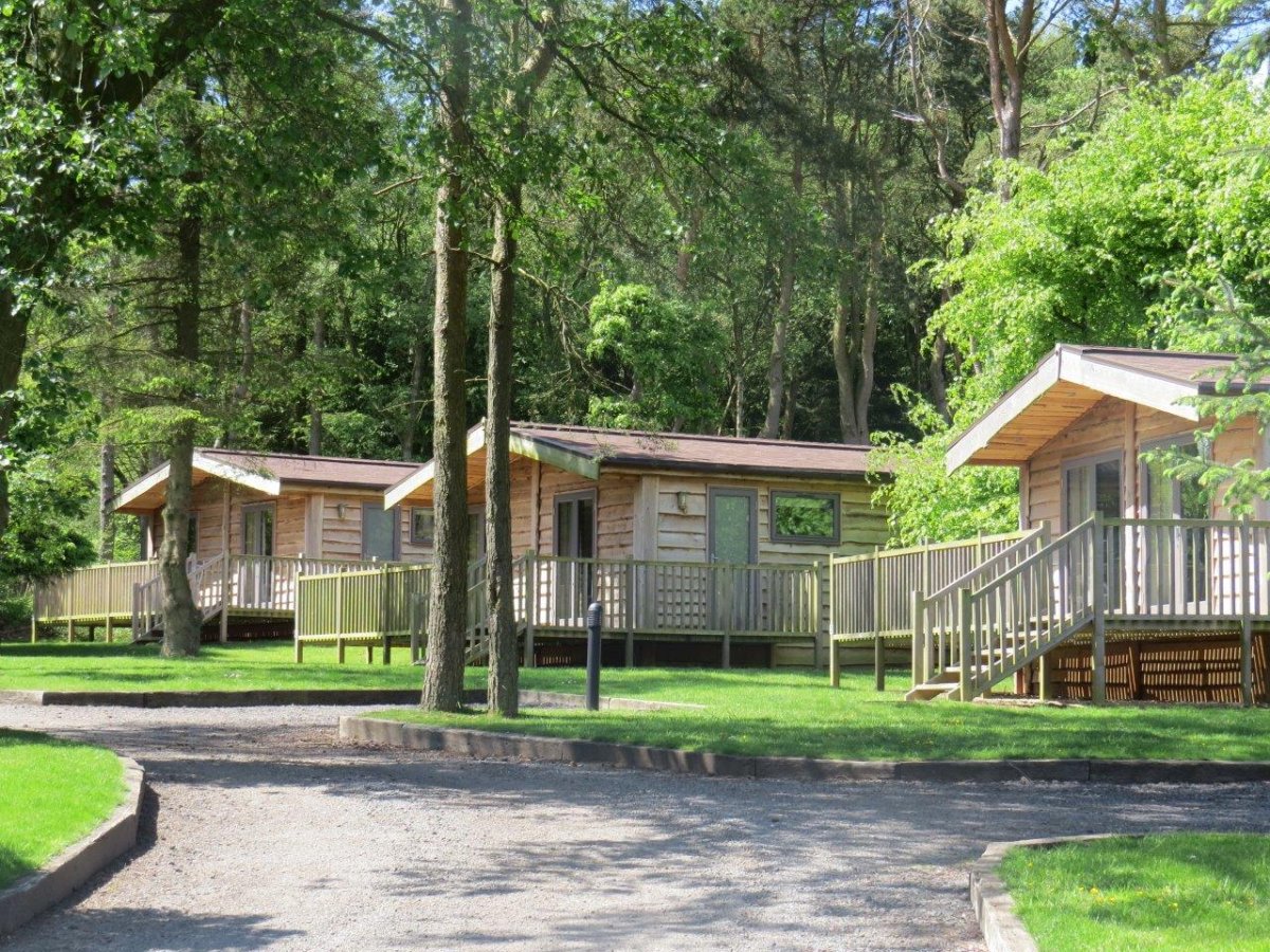 Darwin Forest | Luxury Holiday Lodges, Matlock