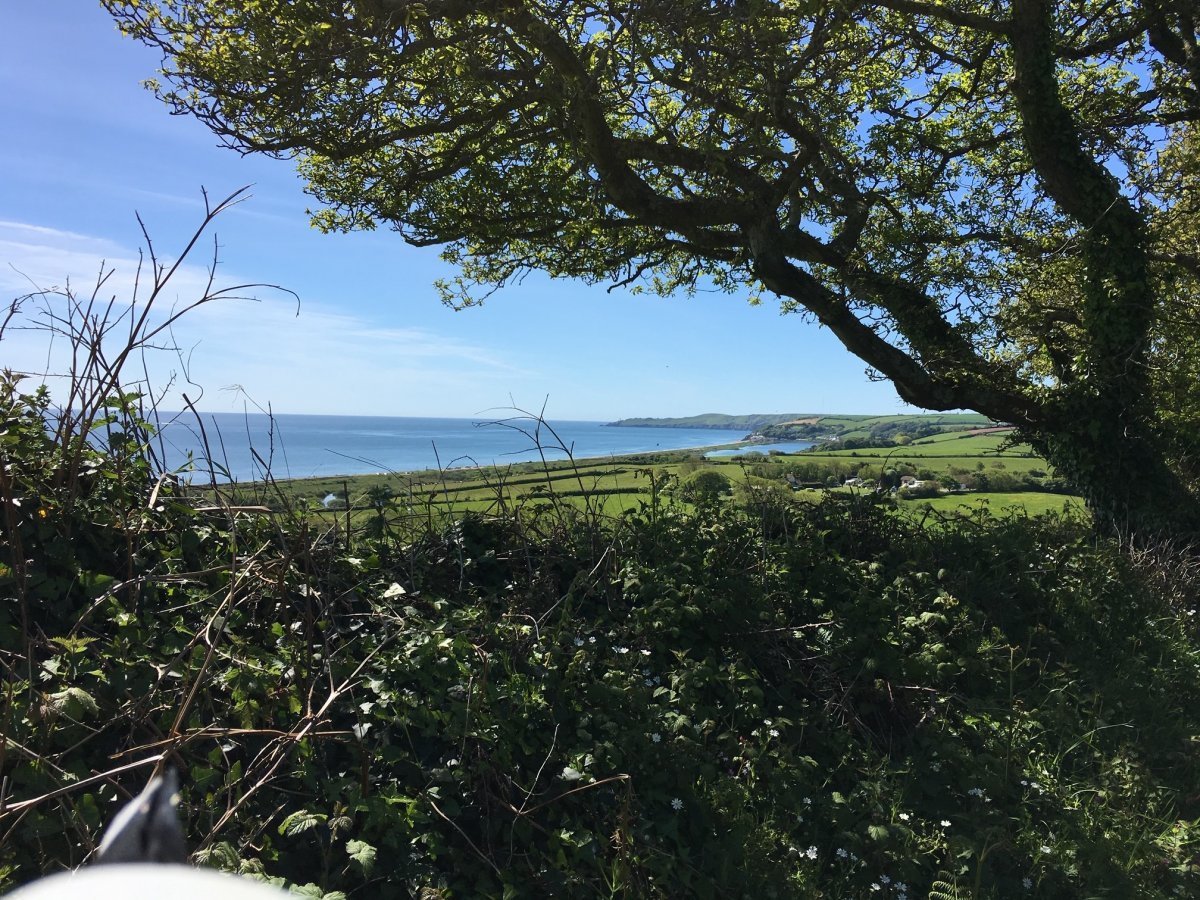 FSC Uplands | Family bunkhouse by the coast, Devon