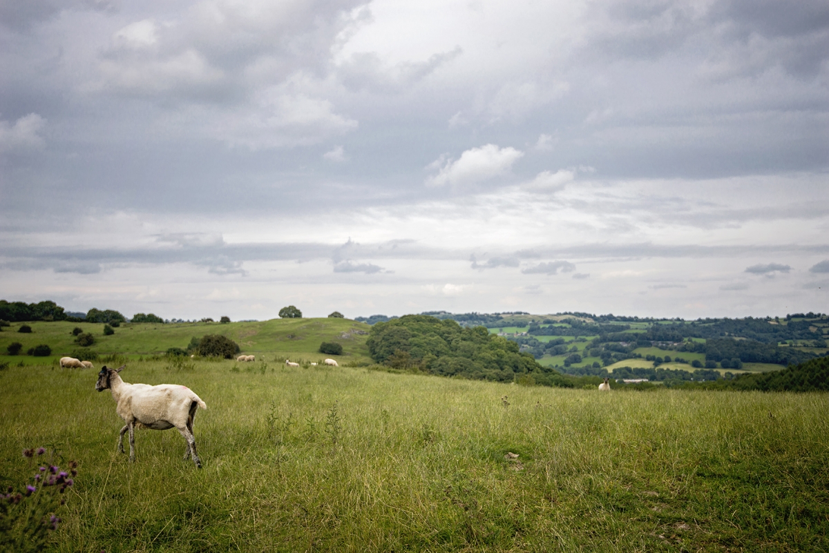 Catered outdoor adventure centre near Matlock | Derbyshire