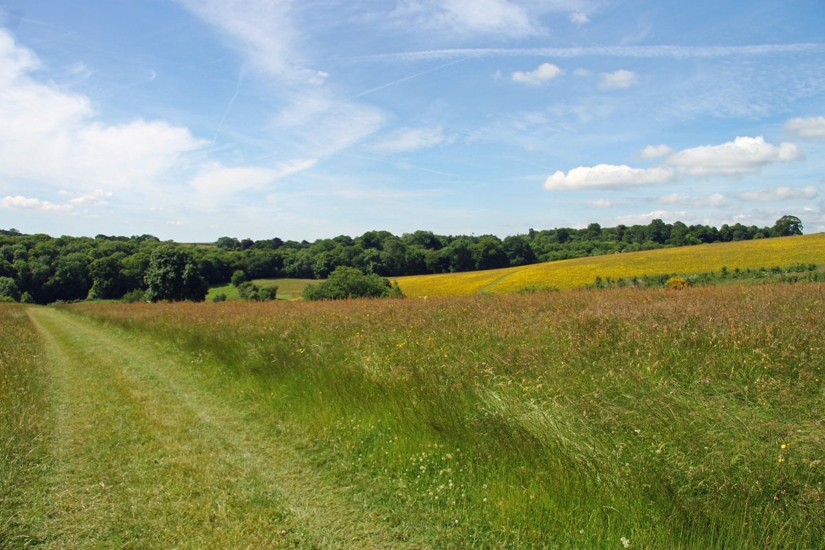 Lydeard Farm Bush Camp | Residential activity centre, Somerset