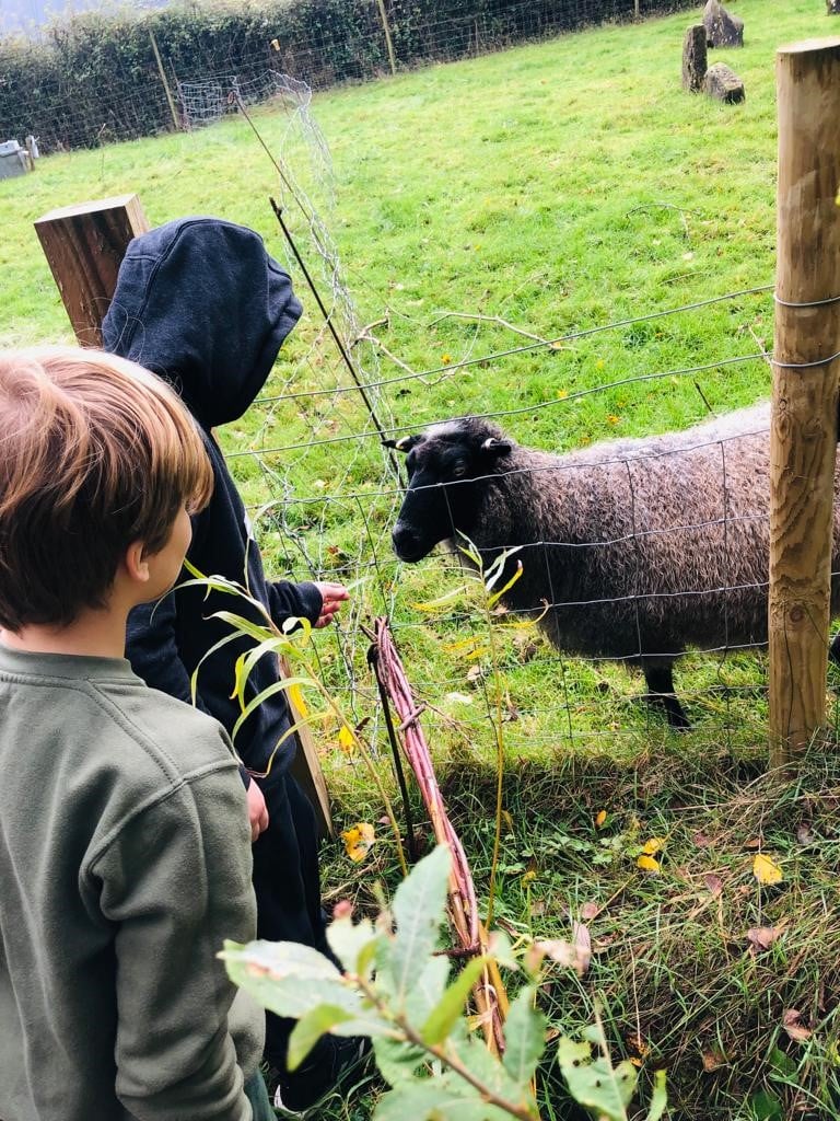 Minstead Study Centre | Holiday bunkhouses, New Forest