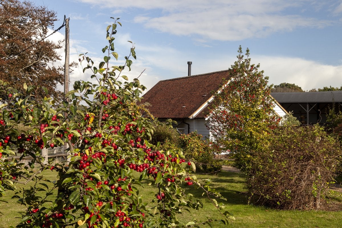 Oxney Organic Estate | Family holiday houses, Kent